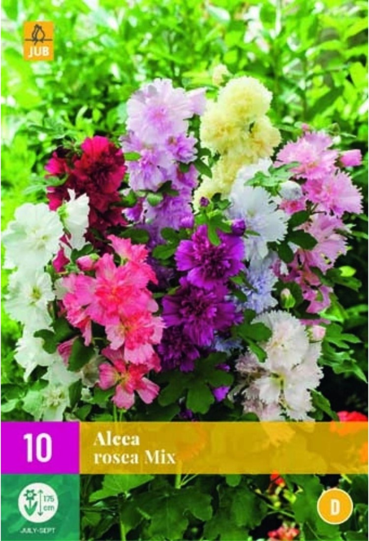 Alcea Rosea Mix - Stockrose kaufen? Schnelle Lieferung und günstige ...